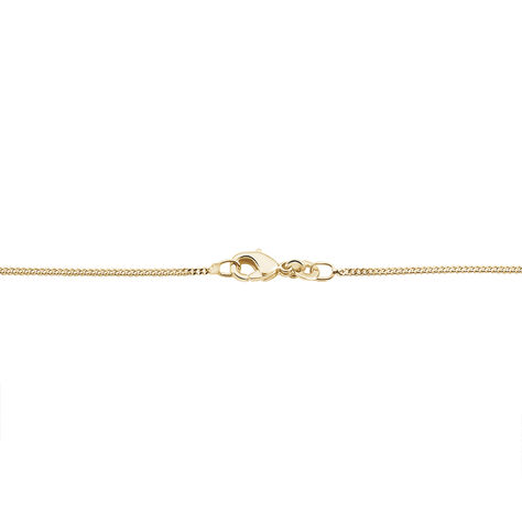 Collier Choker Ras du Cou • Histoire d'Or