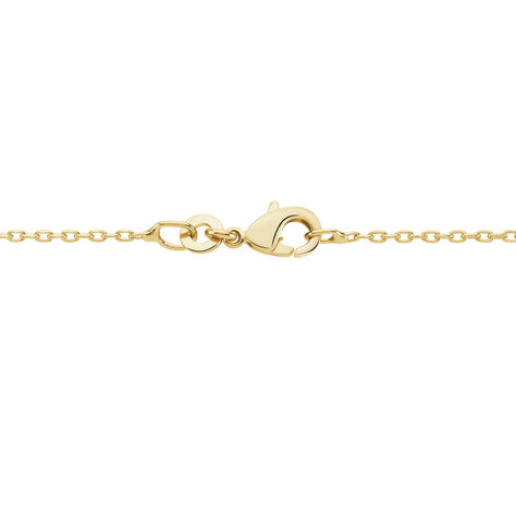 Collier Choker Ras du Cou • Histoire d'Or