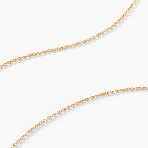 Collier Choker Ras du Cou • Histoire d'Or